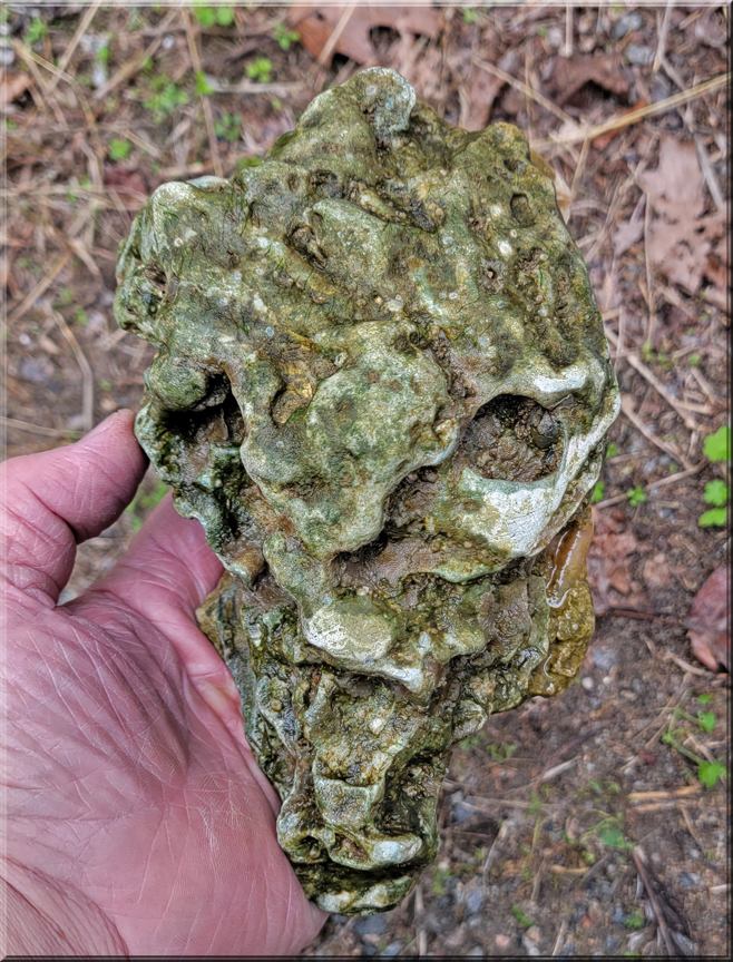 PIPSICO FOSSIL DIG OCTOBER 2022